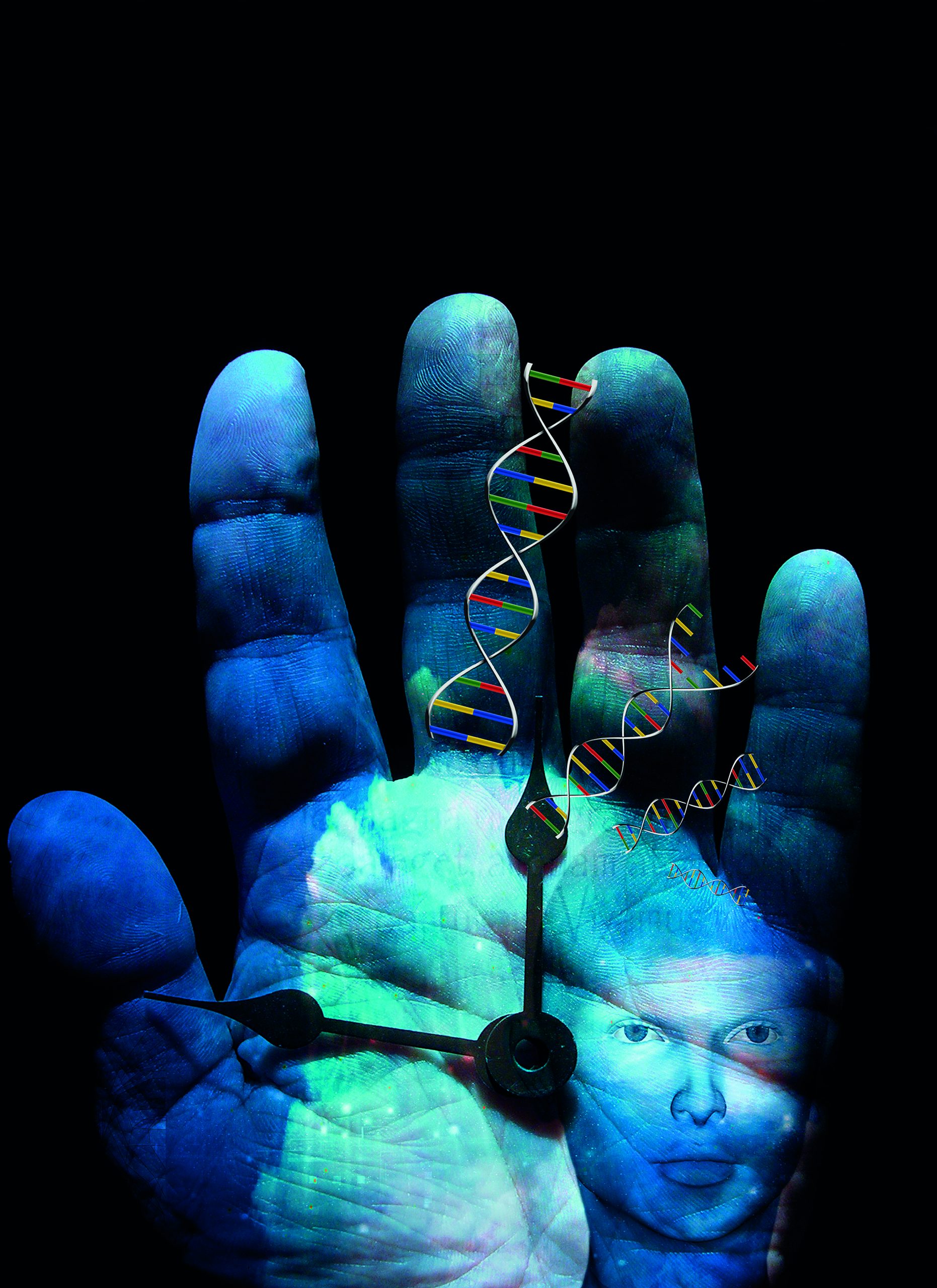 Revista Educação | Experimentar é importante para o aprendizado ...