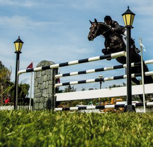 O poder do obstáculo (conhecendo a língua portuguesa)